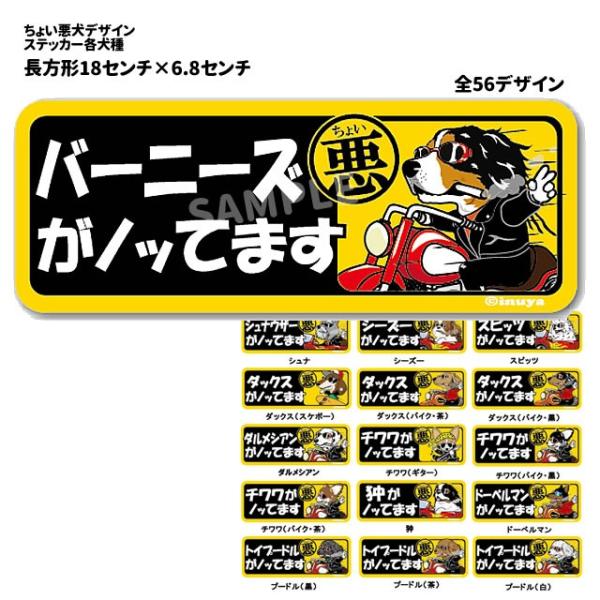 【↓商品詳細説明は仕様上ページの最下部にございます↓】ここから検索ワード：ステッカー 犬 車 注意 グッズ 乗ってます シールちょい悪デザイン一覧 秋田犬 アメリカンコッカースパニエル イングリッシュコッカースパニエル イタリアングレーハウ...