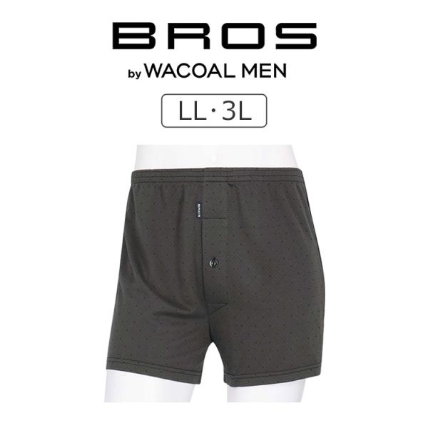 【発売日：2025年11月10日】