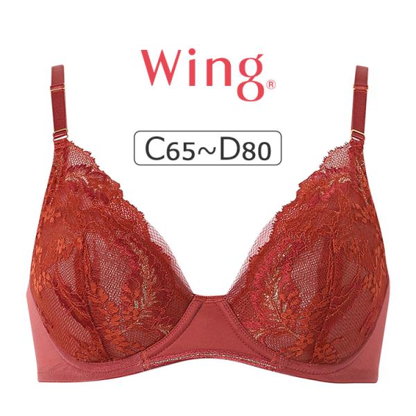 【発売日：2025年06月19日】