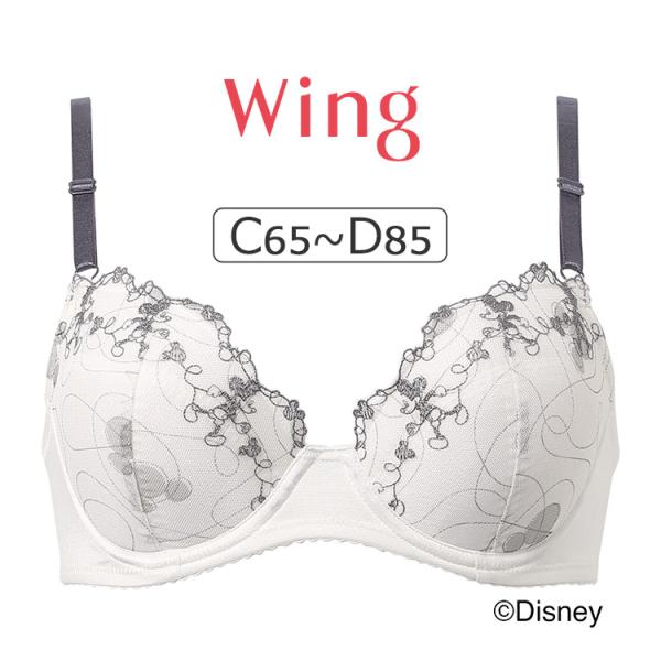 【発売日：2025年12月22日】