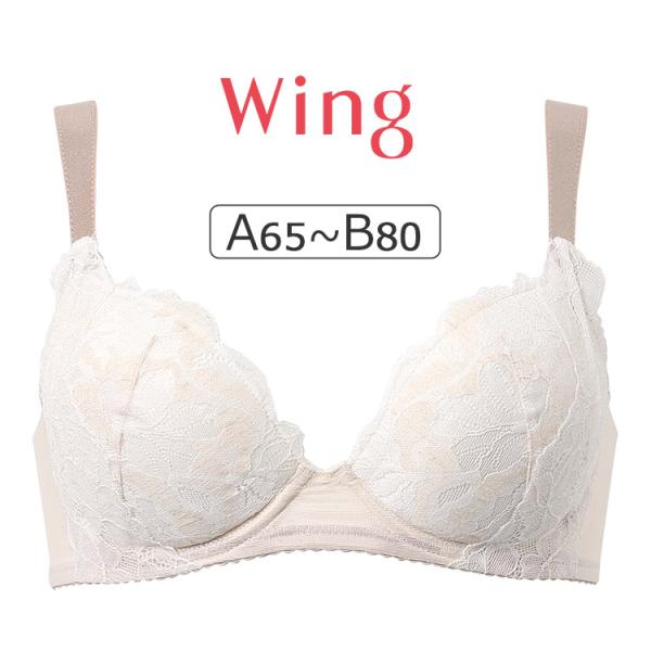 【発売日：2025年12月22日】