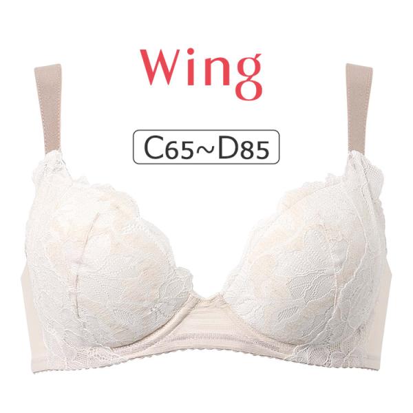 【発売日：2025年12月22日】