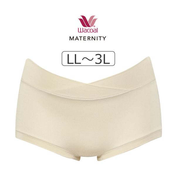 【発売日：2024年08月10日】