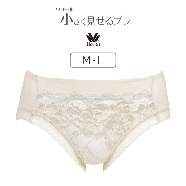 【発売日：2024年08月30日】