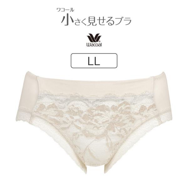 【発売日：2024年08月30日】