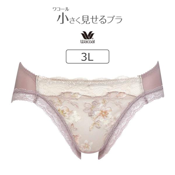 【発売日：2025年06月10日】