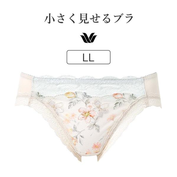 【発売日：2025年12月10日】