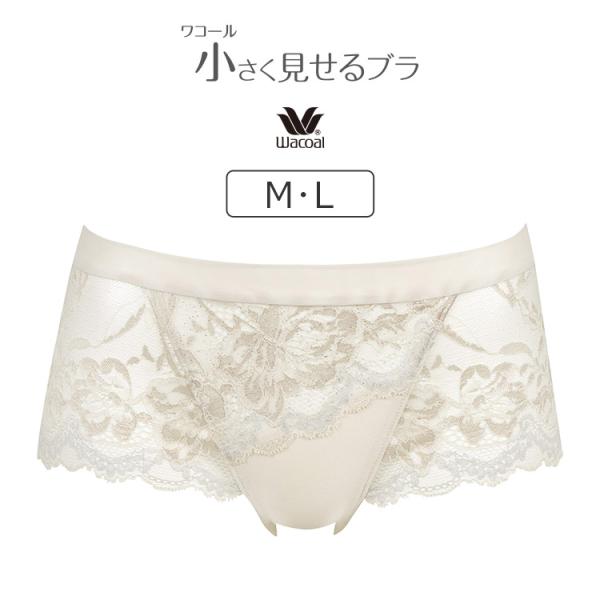 【発売日：2024年08月30日】