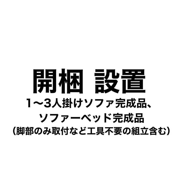 ＜完成品タイプ＞開梱・設置サービス（完成品ソファー1〜3人掛け・完成品ソファーベッド）※本サービスは【完成品タイプのソファー1〜3人掛け・ソファーベッド】の開梱設置サービスです。※完成品タイプは「完成品/半完成品」を含みます。■必ず当店の商...