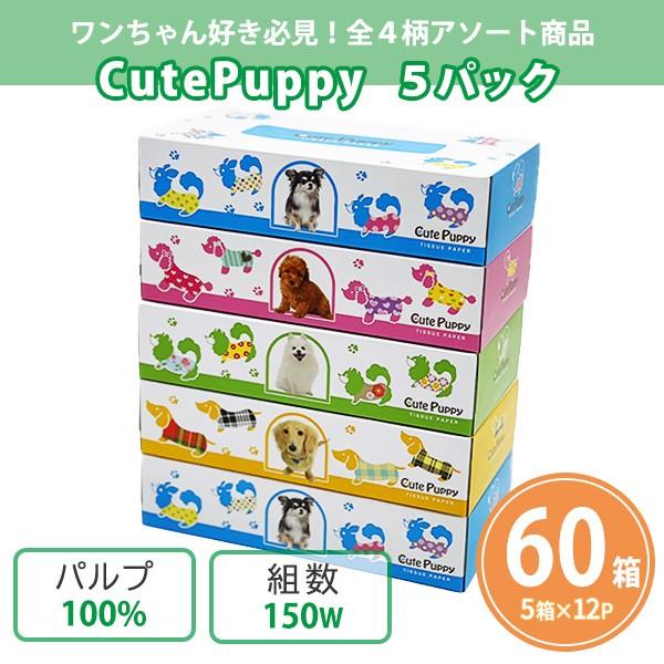 送料無料 カラフルな色とワンちゃんのデザインがかわいいBOXティッシュ♪かわいい子犬がデザインされたBOXティッシュ全4柄カラフルな色合いでもらった人もHAPPYな気分に♪ペットショップやトリミングサロン、動物病院のノベルティに最適です販促...