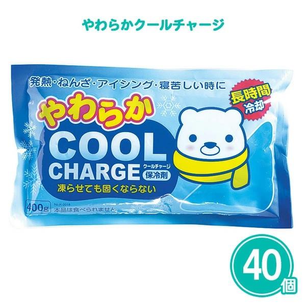 送料無料 凍らせても硬くならない保冷剤 長時間冷たいままだから熱冷ましにおすすめ発熱・ねんざ・アイシング・寝苦しい時に、いろいろ使える！凍らせても硬くならない保冷剤長時間冷たいままでひんやり快適♪来場記念/来店記念や景品・プレゼント・粗品・...