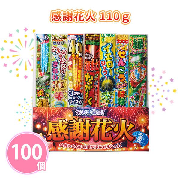 送料無料 ご家族みんなで楽しめる夏の定番品 楽しい夏休みの思い出に 花火セットバラエティ豊かな手持ち花火と線香花火のセットチラシやパンフレットが入れられるA4ポケット付きで販促効果バツグン！子ども会のイベントや夏祭りの景品に最適！粗品・記念...