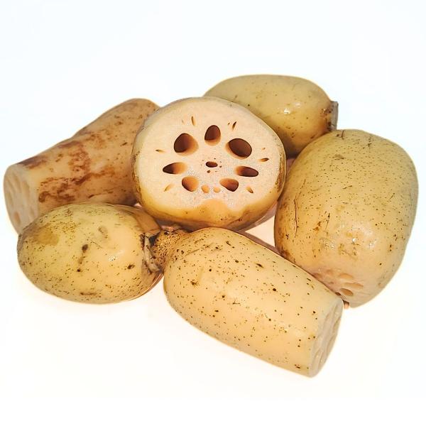 【名称】岡山県産 訳あり れんこん  【内容量】3kg【サイズ】れんこん1玉あたり100g【商品説明】晴れの国・岡山の温暖な気候、豊富な水源、そして栄養豊富な干拓地。この最高の環境で育てられる「ゆうゆう蓮根」は、全国的にも希少な促成栽培で作...