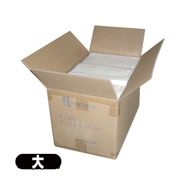 材質/不織布大 30×50cm/2000枚