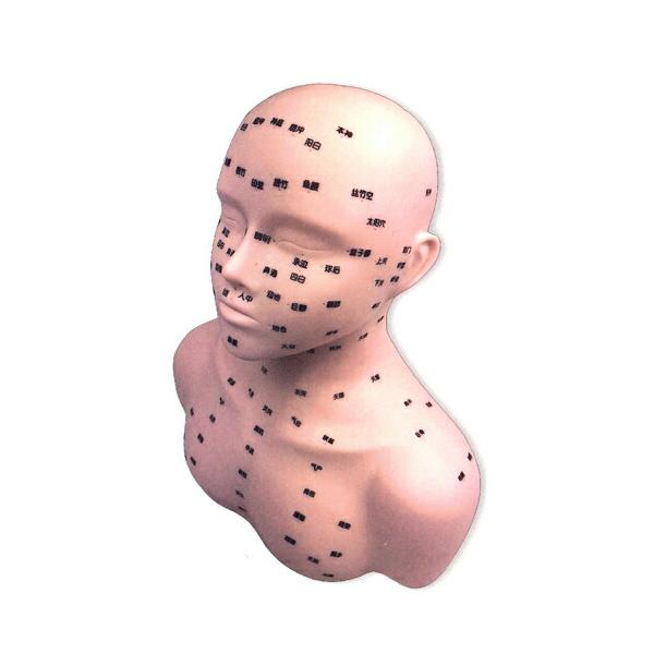 商品詳細商品名エスキュア 人体模型シリーズ (S+CURE)経穴模型 (胸上ソフトボディ)( けいけつもけい 経穴人形 セミナー 講座 練習用 授業 骨格模型 模型 間接模型 骨格標本 骨模型 骸骨模型 人骨模型 骨格 人体 可動 教材 実...