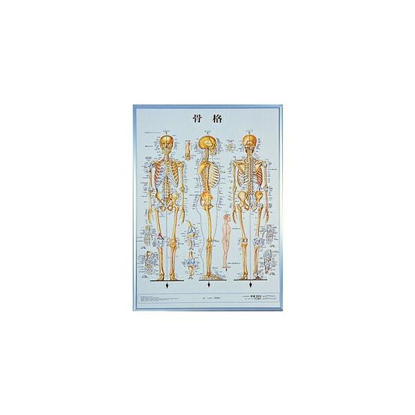 サイズ:縦86×横62cmパネル入爆買