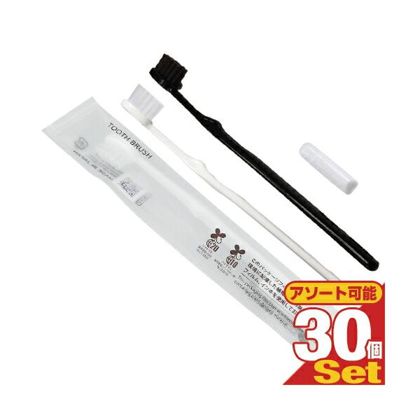 業務用使い捨て歯ブラシセット ハミガキ粉チューブ3g付き (使い捨てハブラシセット)(ハブラシ 歯みがき 歯磨き 歯みがき粉 歯磨き粉 TOOTH  BRUSH オーラルケア オーラル用品 国産 QH3)  コストパフォーマンスを追求した薄...