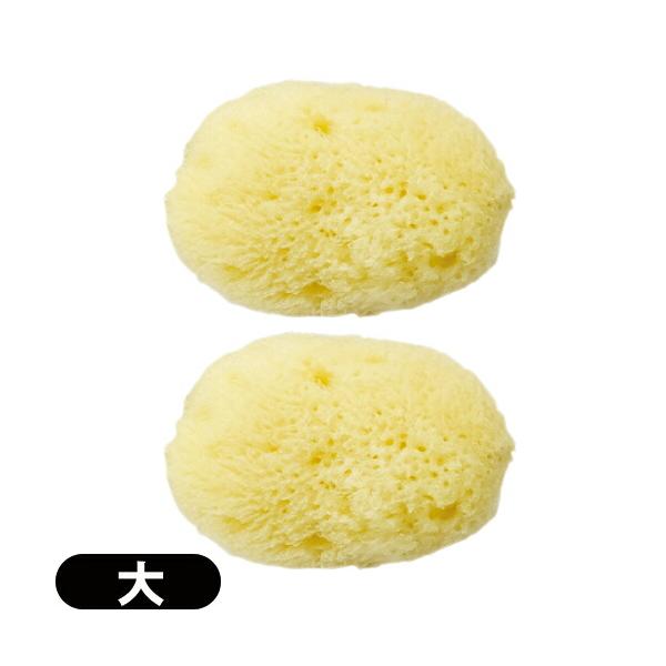 ● 水分を含むとやわらかく、キメが細かくなります。ギュッとしぼってからご使用ください。● なめらかで優しい肌ざわりで、泡立ちもよく、毛穴の汚れもしっかり落とします。● お肌の弱い方にも安心してお使いいただけます。● 洗顔やファンデーション用...