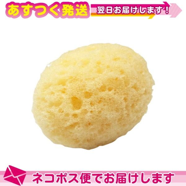 ● 天然海綿と比べ匂いがでにくく、サイズの個体差がほぼありません。● 水分を含むとやわらかく、ふんわりソフトな肌触り。● 泡立ちがよくボディをやさしくマイルドに洗い上げます。● 肌触りがとてもソフトでデリケートなお肌に最適です。● ボディス...