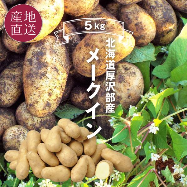 【発売日：2026年10月13日】・じゃがいもの生育状況により発送が大幅に早まる場合、遅れる場合がございます。・じゃがいもの収穫状況により受付期間中でも予告なく受付を終了する場合がございます。・食べ頃になり次第、収穫し発送するため、じゃがい...