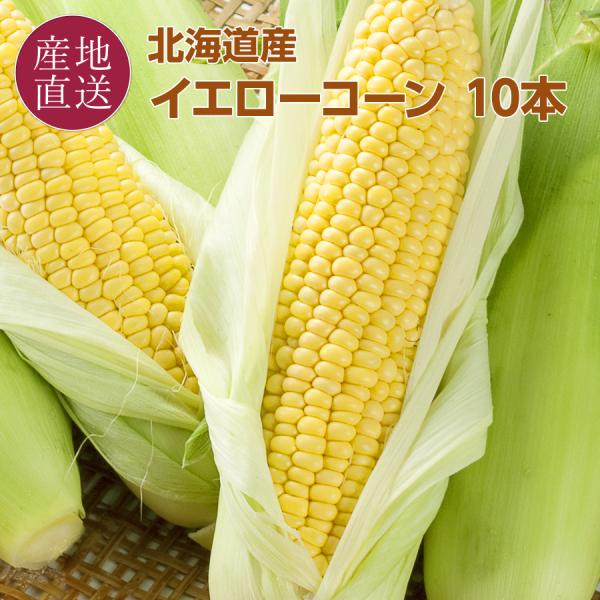 【発売日：2026年08月22日】・とうもろこしの生育状況により発送が大幅に早まる場合、遅れる場合がございます。・とうもろこしの収穫状況により受付期間中でも予告なく受付を終了する場合がございます。・食べ頃になり次第、収穫し発送するため、とう...