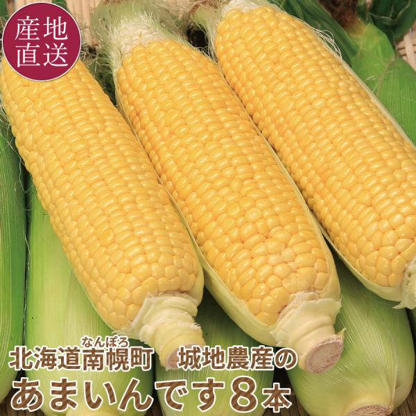 【発売日：2026年08月22日】・とうもろこしの生育状況により発送が大幅に早まる場合、遅れる場合がございます。・とうもろこしの収穫状況により受付期間中でも予告なく受付を終了する場合がございます。・食べ頃になり次第、収穫し発送するため、とう...