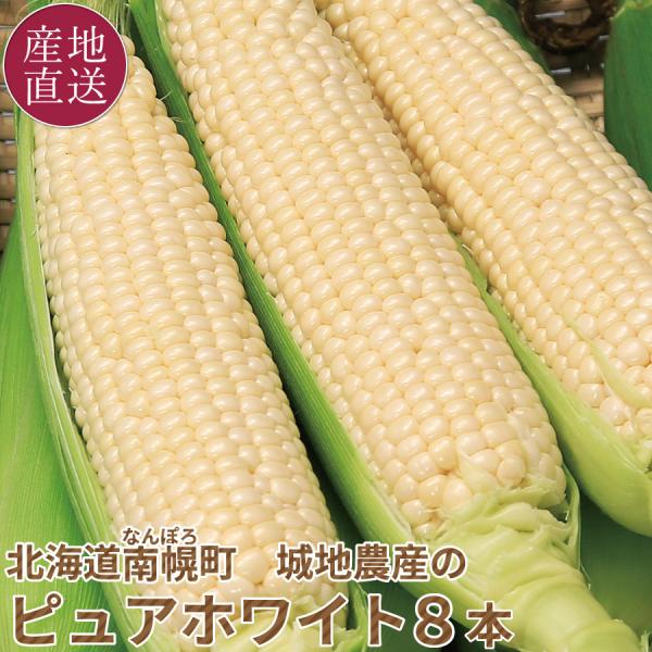 【発売日：2026年08月22日】・とうもろこしの生育状況により発送が大幅に早まる場合、遅れる場合がございます。・とうもろこしの収穫状況により受付期間中でも予告なく受付を終了する場合がございます。・食べ頃になり次第、収穫し発送するため、とう...