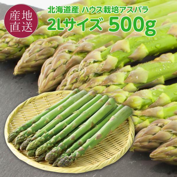 【発売日：2026年04月15日】・アスパラガスの生育状況により発送が大幅に早まる場合、遅れる場合がございます。・アスパラガスの収穫状況により受付期間中でも予告なく受付を終了する場合がございます。・食べ頃になり次第、収穫し発送するため、アス...