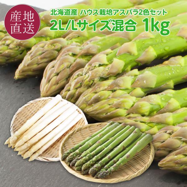 【発売日：2025年05月08日】・アスパラガスの生育状況により発送が大幅に早まる場合、遅れる場合がございます。・アスパラガスの収穫状況により受付期間中でも予告なく受付を終了する場合がございます。・食べ頃になり次第、収穫し発送するため、アス...