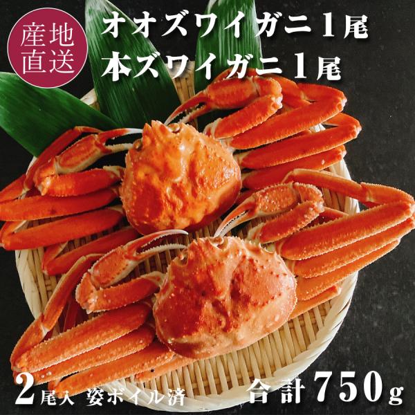 ■熨斗（短冊シールタイプ）を指定する場合ご注文手続きの途中にある「ギフト設定」でご指定ください。■商品の特徴本ズワイガニとオオズワイガニを1尾ずつ合計2尾のセットにいたしました。ぜひ、食べ比べてみてください。かにみそも風味がよく美味しく召し...
