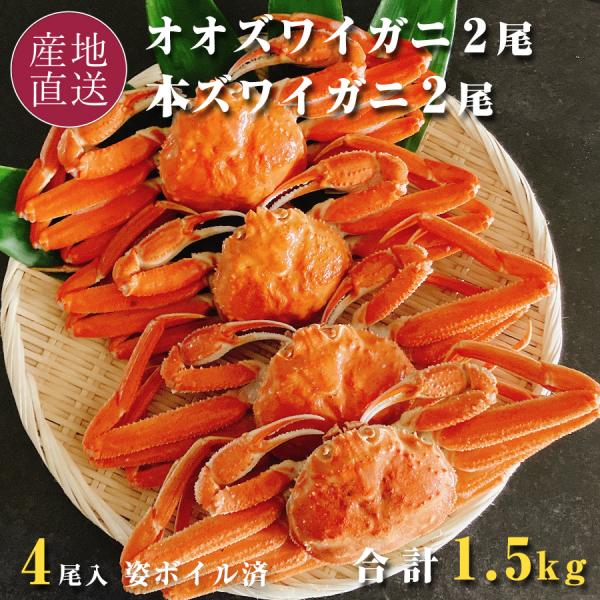 ■熨斗（短冊シールタイプ）を指定する場合ご注文手続きの途中にある「ギフト設定」でご指定ください。■商品の特徴本ズワイガニとオオズワイガニを2尾ずつ合計4尾のセットにいたしました。ぜひ、食べ比べてみてください。かにみそも風味がよく美味しく召し...