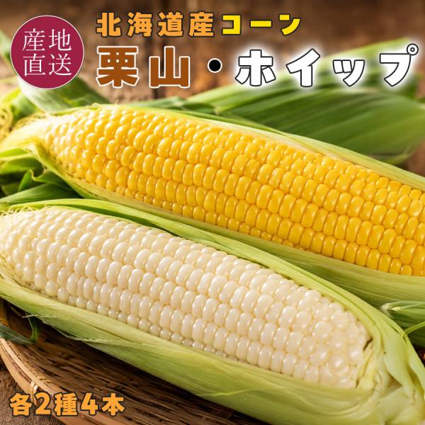 【発売日：2026年08月22日】・とうもろこしの生育状況により発送が大幅に早まる場合、遅れる場合がございます。・とうもろこしの収穫状況により受付期間中でも予告なく受付を終了する場合がございます。・食べ頃になり次第、収穫し発送するため、とう...