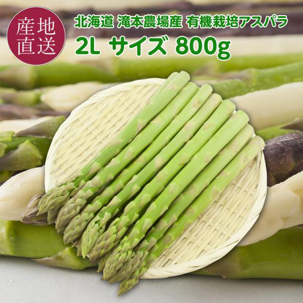【発売日：2026年05月15日】・アスパラガスの生育状況により発送が大幅に早まる場合、遅れる場合がございます。・アスパラガスの収穫状況により受付期間中でも予告なく受付を終了する場合がございます。・食べ頃になり次第、収穫し発送するため、アス...