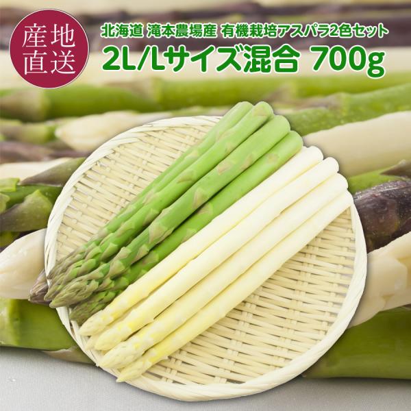 【発売日：2026年05月15日】・アスパラガスの生育状況により発送が大幅に早まる場合、遅れる場合がございます。・アスパラガスの収穫状況により受付期間中でも予告なく受付を終了する場合がございます。・食べ頃になり次第、収穫し発送するため、アス...