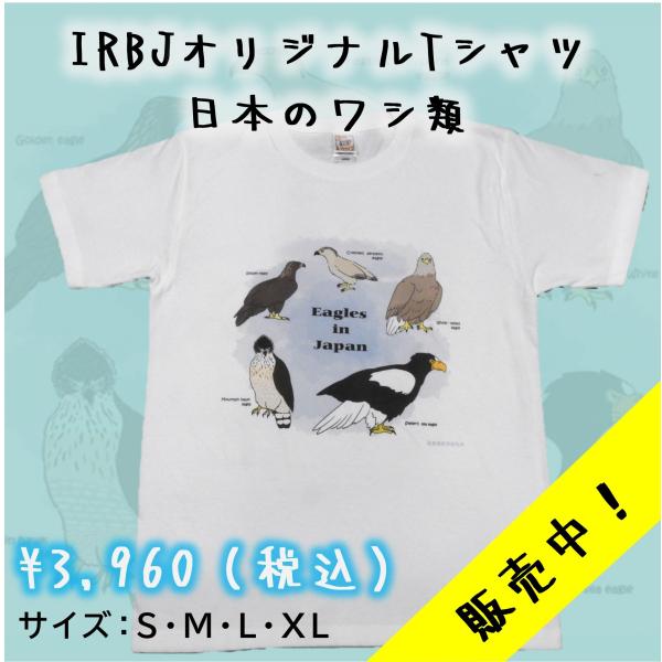 ご好評につき！IRBJオリジナルTシャツ第6弾登場♪今年のテーマは「日本で見られる“Eagle”たち」。堂々と大きくプリントされた5種のワシ類！◎オオワシ(Steller's Sea Eagle)Stellerはドイツの博物学者で、ベーリン...