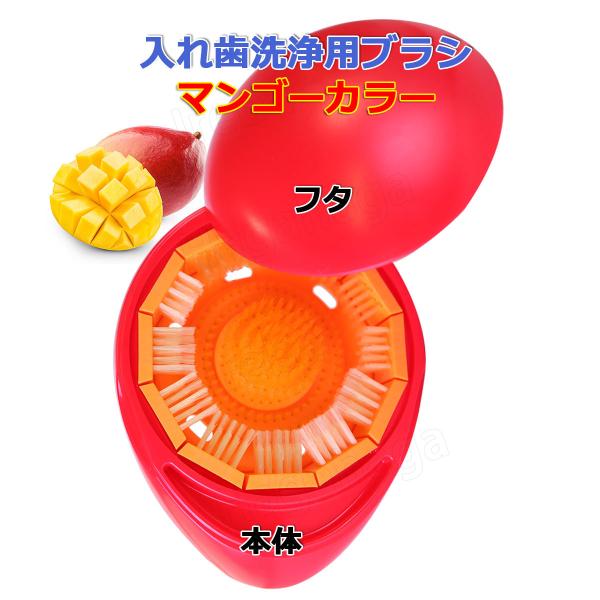 ＝デンチャーブラシのこだわりポイント＝●入れ歯の清掃時間の短縮●高齢者にも磨きやすい形状●入れ歯のすみずみまで届くドーム型ブラシに改良●ビタミンカラーで毎日の入れ歯のお手入れを楽しく