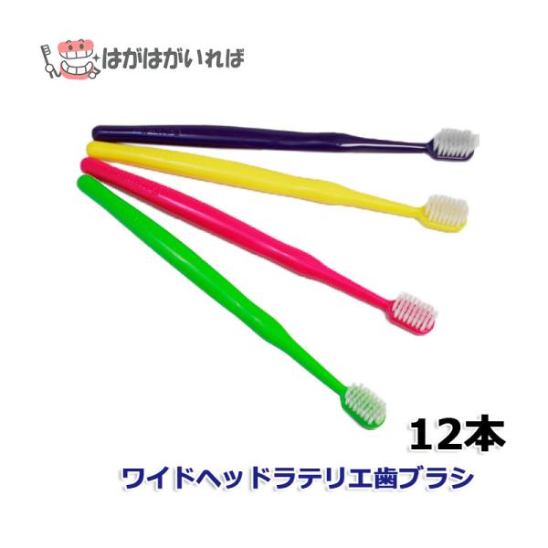 包装：歯ブラシ　１本（箱入り）　色：フラワーイエロー(黄）・リーフグリーン（緑）・ベリーブルー（青）・ローズレッド(赤）※カラーはお選びいただけません。