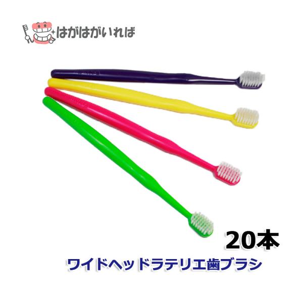 包装：歯ブラシ　２０本セット色：フラワーイエロー(黄)５本・リーフグリーン(緑)５本・ベリーブルー(青)５本・ローズレッド(赤)５本歯科医師が作った軽量・形状・弾力性　を重視した 「 歯ブラシ 」 ラテリエ