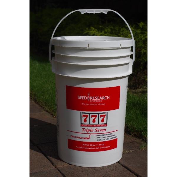 【発売日：2020年10月01日】クリーピングベントグラス「777」トリプルセブン 11.25Kg（25LBS）・適用面積　約550平方メートル。 ・11.25Kg単位でのご注文が可能です。★日本語と写真による種のまき方、育て方等の説明書が...