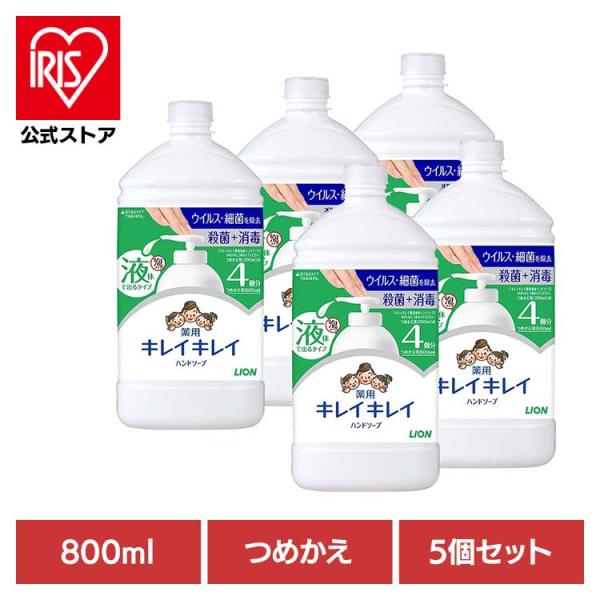 （検索用：ライオン・スキンケア・手洗い用・ハンドソープ・キレイキレイ・シトラス・詰め替え・特大サイズ・シトラスフルーテイ・LION・4903301282228）