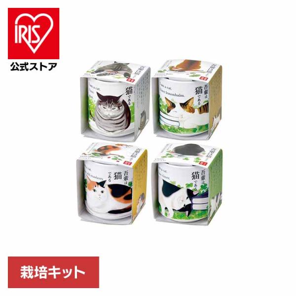 （検索用：栽培キット・栽培セット・ミント・レモンバーム・ワイルドストロベリー・クローバー・聖新陶芸・ねこデザイン・インテリア・SEISHIN・4528757042105・4528757042099・4528757042082・4528757...