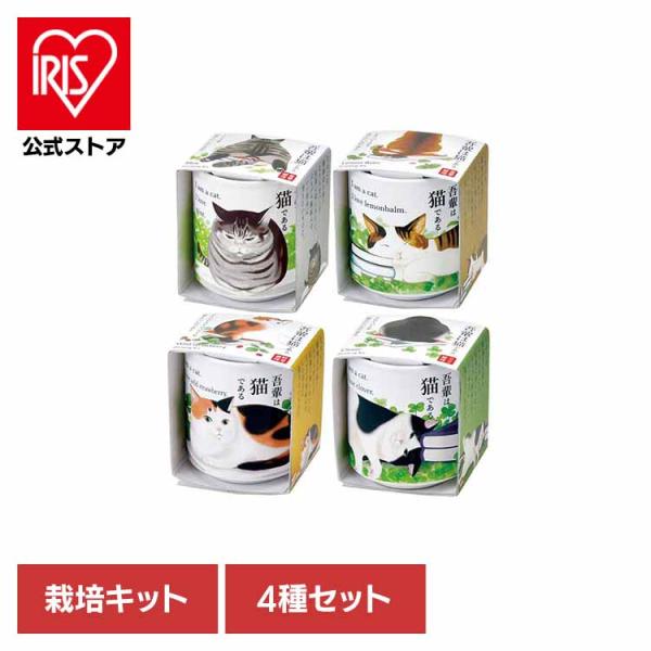 （検索用：栽培キット・栽培セット・ミント・レモンバーム・ワイルドストロベリー・クローバー・聖新陶芸・ねこデザイン・インテリア・SEISHIN・）[翌日優良配送対象商品に関しまして]下記の場合は対象外となります。・13時以降(休業日は12時以...