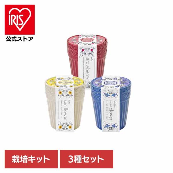 （検索用：栽培キット・栽培セット・ワイルドストロベリー・ミニヒマワリ・四つ葉のクローバー・聖新陶芸・GraceGarden・ギフト・陶器製ポット・SEISHIN・）[翌日優良配送対象商品に関しまして]下記の場合は対象外となります。・13時以...