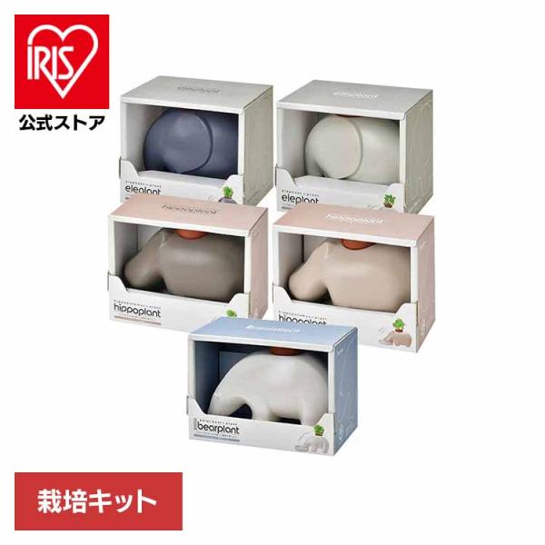 （検索用：栽培キット・栽培セット・ハーブ・育てる・アップルミント・ペパーミント・ワイルドストロベリー・バジル・聖新陶芸・SEISHIN・ゾウ・シロクマ・カバ・4528757040347・4528757040330・4528757041160...