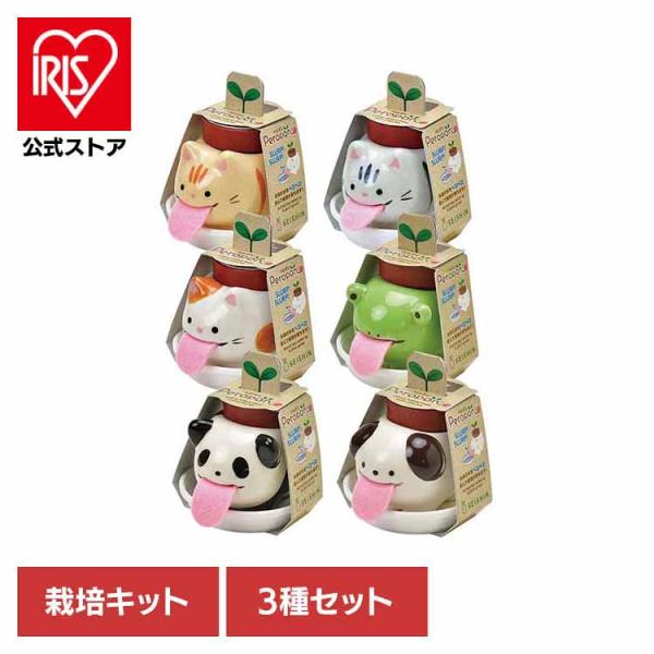 （検索用：栽培キット・栽培セット・クローバー・バジル・ミント・ワイルドストロベリー・animals・cats・陶器・聖新陶芸・インテリア・SEISHIN・）[翌日優良配送対象商品に関しまして]下記の場合は対象外となります。・13時以降(休業...