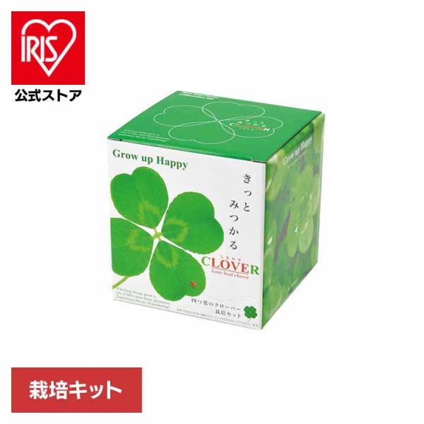 （検索用：栽培キット・栽培セット・四つ葉のクローバー・聖新陶芸・インテリア・SEISHIN・ギフト・クローバー・見つかる・4528757030959）[翌日優良配送対象商品に関しまして]下記の場合は対象外となります。・13時以降(休業日は1...