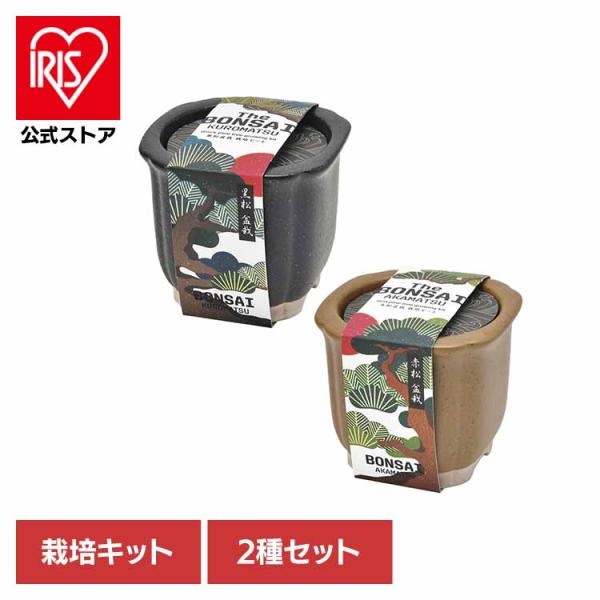 （検索用：栽培キット・栽培セット・黒松・赤松・聖新陶芸・SEISHIN・陶器・ギフト・）[翌日優良配送対象商品に関しまして]下記の場合は対象外となります。・13時以降(休業日は12時以降)のご注文の場合・お届け先が対象地域外の場合(離島含む...