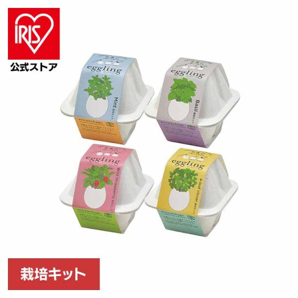 （検索用：栽培キット・栽培セット・たまご型ポット・聖新陶芸・SEISHIN・種から育てる・eggling・eco・ギフト・4528757041238・4528757041221・4528757041214・4528757041207）[翌日...
