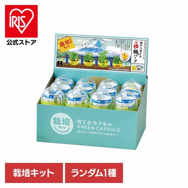 （検索用：栽培キット・栽培セット・ハーブ・聖新陶芸・SEISHIN・ミニ湯桶・あひるちゃん・香草・ランダム・4528757042259）[翌日優良配送対象商品に関しまして]下記の場合は対象外となります。・13時以降(休業日は12時以降)のご...