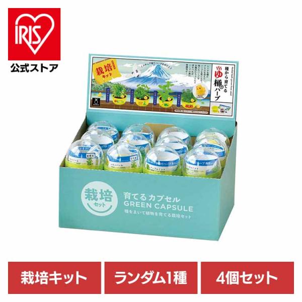 （検索用：栽培キット・栽培セット・ハーブ・聖新陶芸・SEISHIN・ミニ湯桶・あひるちゃん・香草・ランダム・4528757042259）[翌日優良配送対象商品に関しまして]下記の場合は対象外となります。・13時以降(休業日は12時以降)のご...